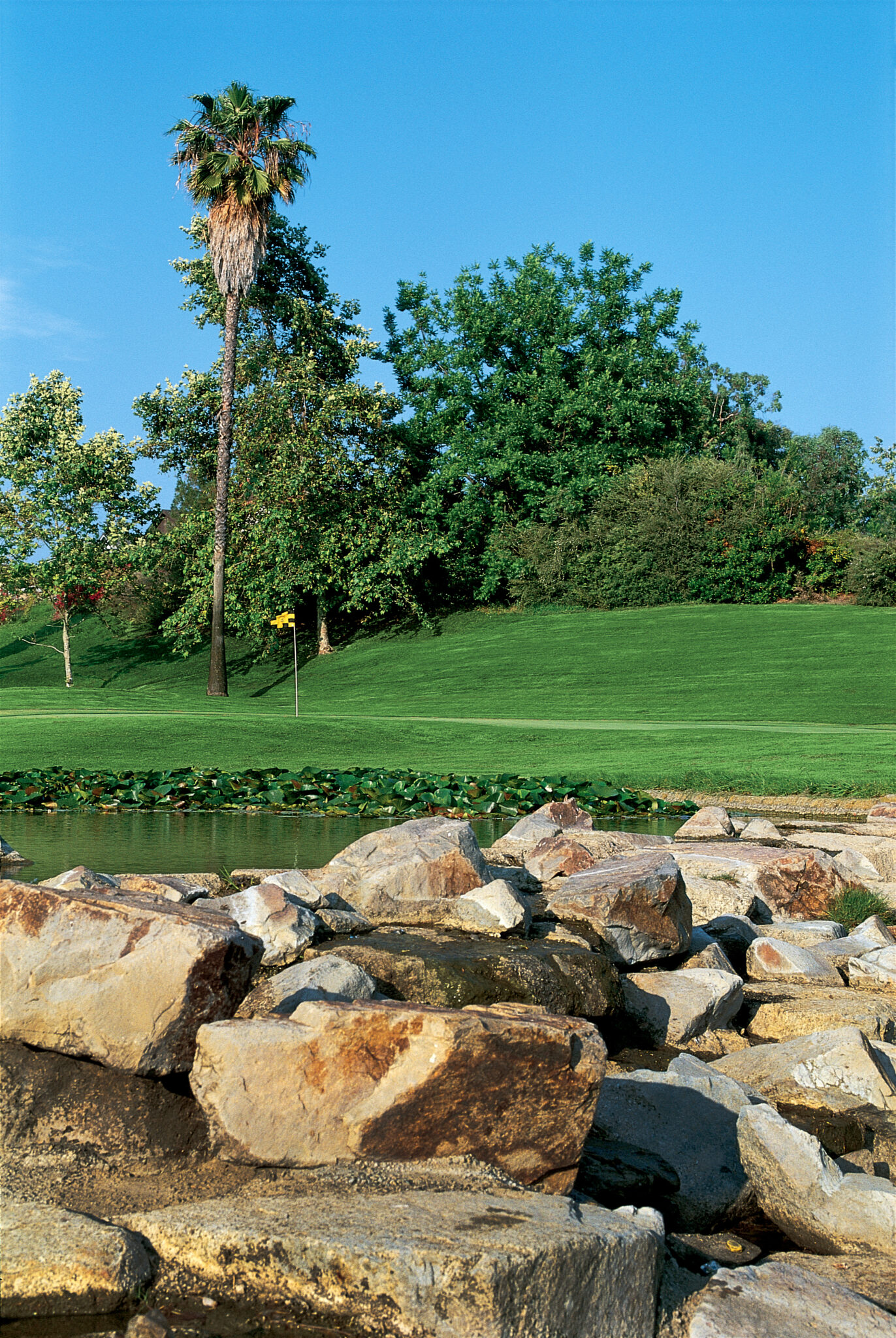 Los Coyotes Golf Course History, Design & Features | Los Coyotes ...