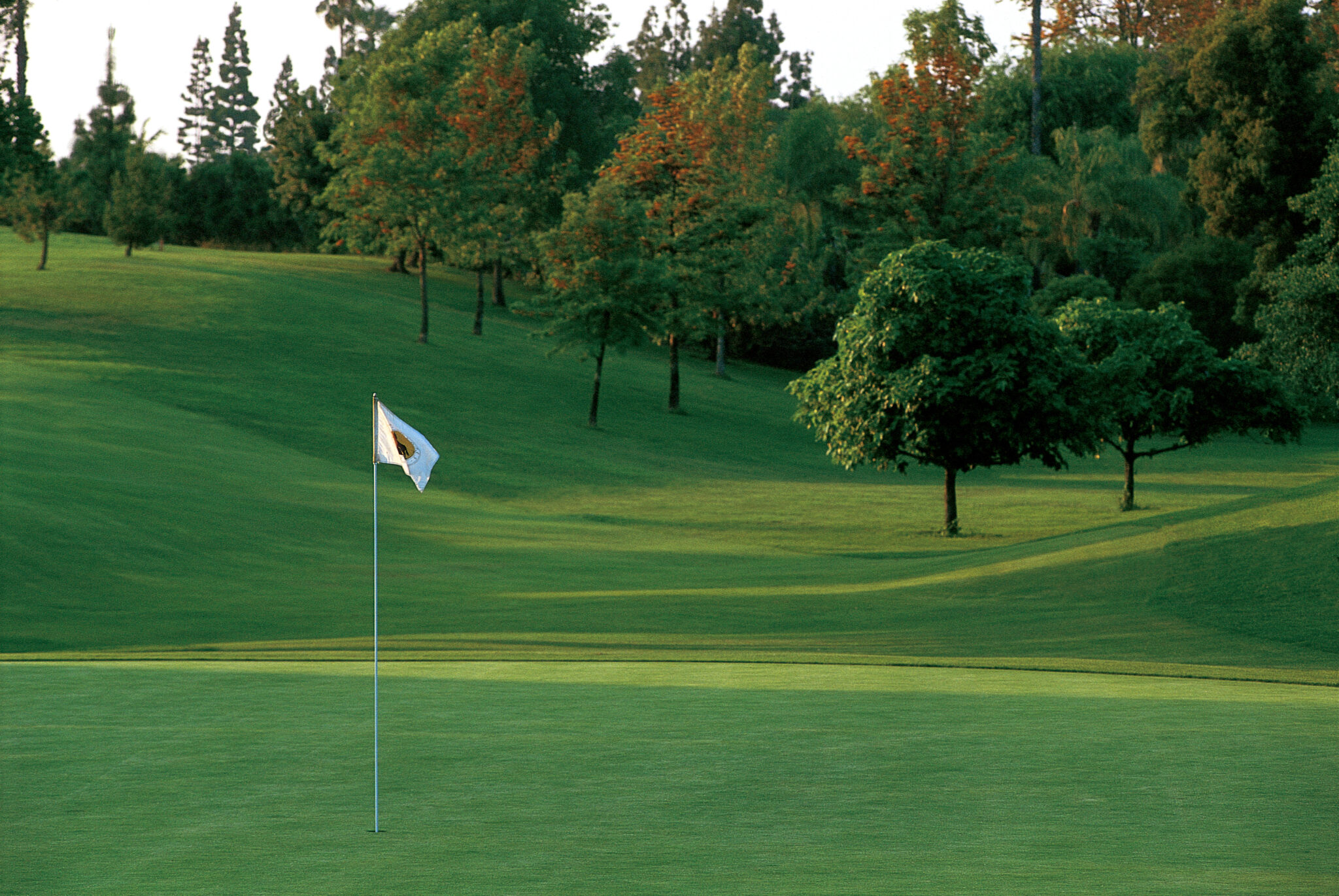 Los Coyotes Golf Course History, Design & Features | Los Coyotes ...